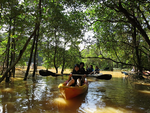 【Okinawa Main Island】Mangrove Canoe tour | Okinawa Trip | Okinawa's ...