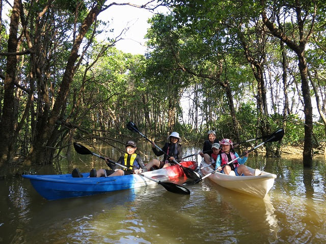 【Okinawa Main Island】Mangrove Canoe tour | Okinawa Trip | Okinawa's ...
