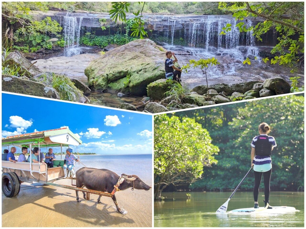 【Iriomote Island】SUP or Canoeing to Mizuochi Falls & Yubu Island ...