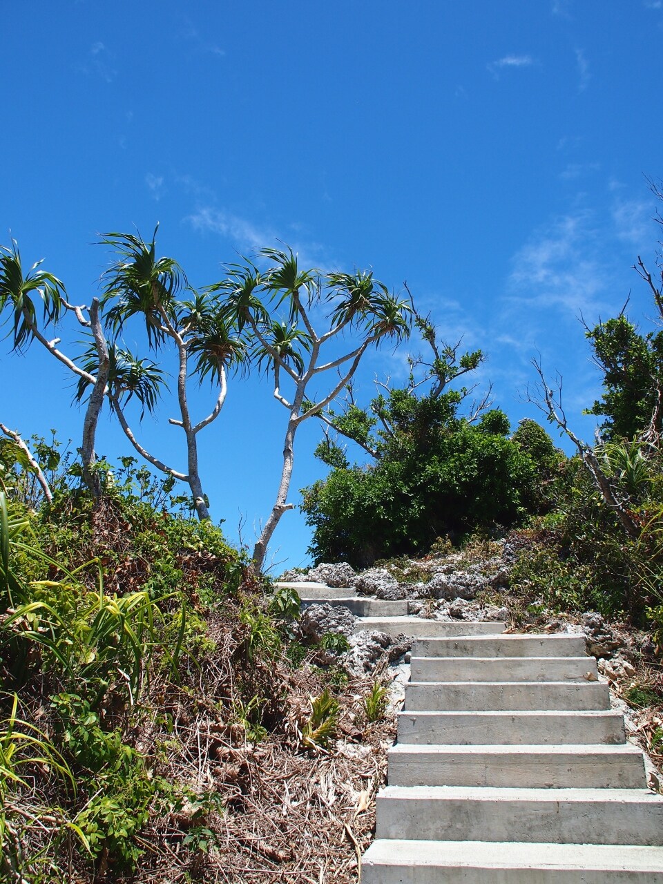 -ぬちの浜- 沖縄本島（沖縄市・うるま市・伊計島エリア）の観光スポット | 沖縄トリップ【沖縄最大級のアクティビティ予約サイト】