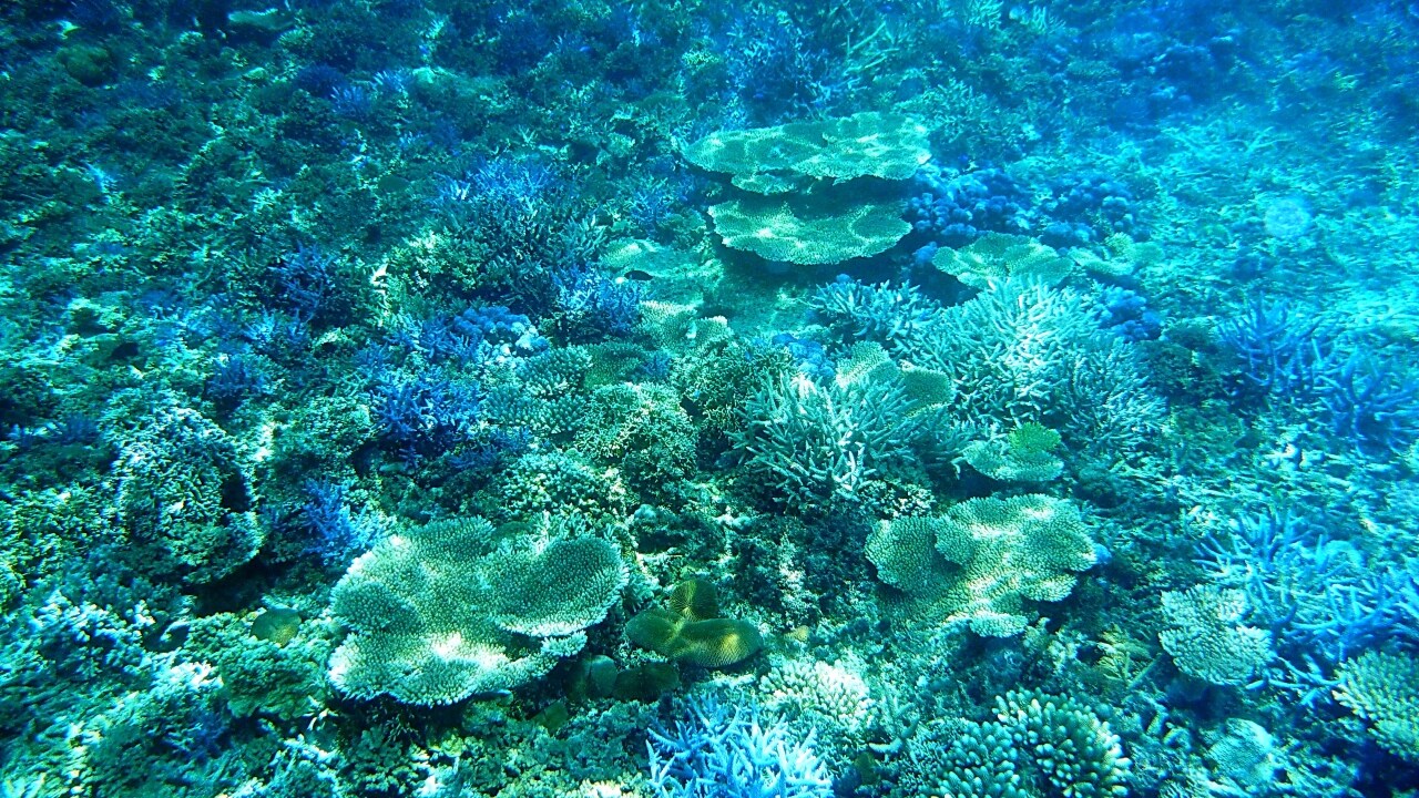 大神島-宮古島の観光スポット | 沖縄トリップ | 現地ガイド厳選アクティビティ・ツアー予約はこちら